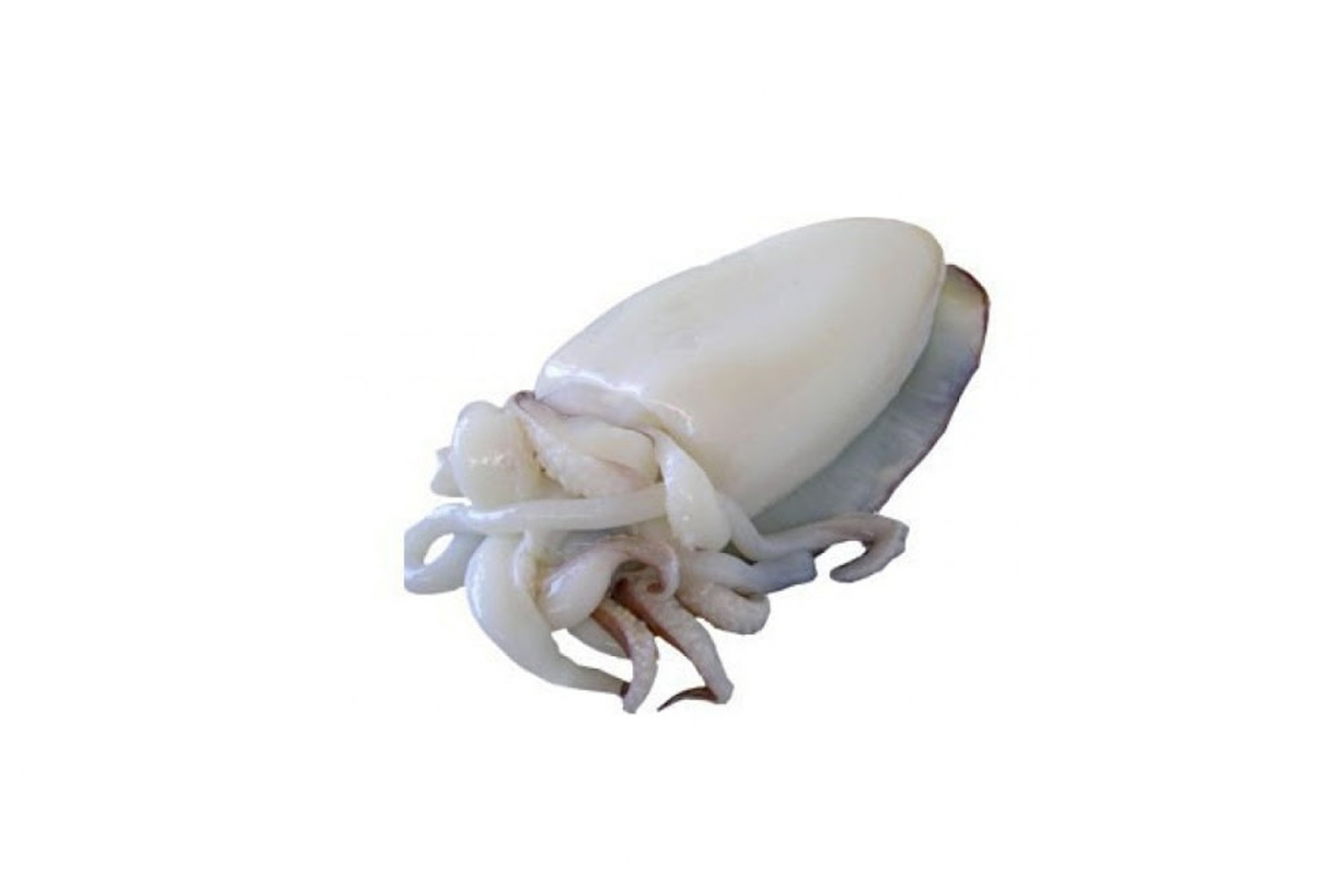 Choco Limpo - Gelcambra